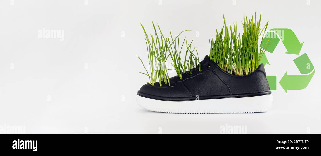 Banner Environmental conservation concept green grass growing from ...