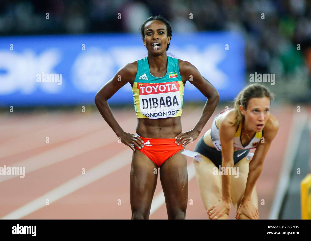 Genzebe Dibaba participating in the 1500m final at the World Athletics ...