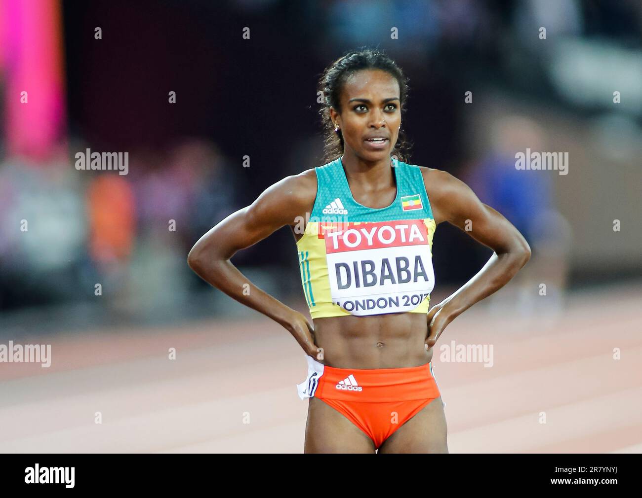 Genzebe Dibaba participating in the 1500m final at the World Athletics ...