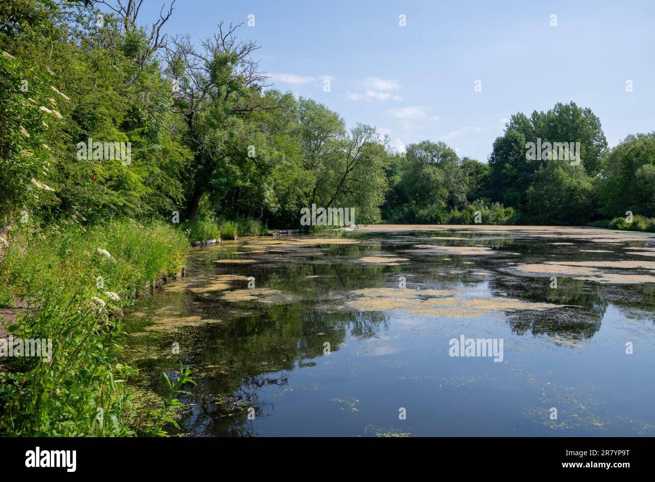 Reddish Vale country park, Stockport, Greater Manchester, England Stock ...