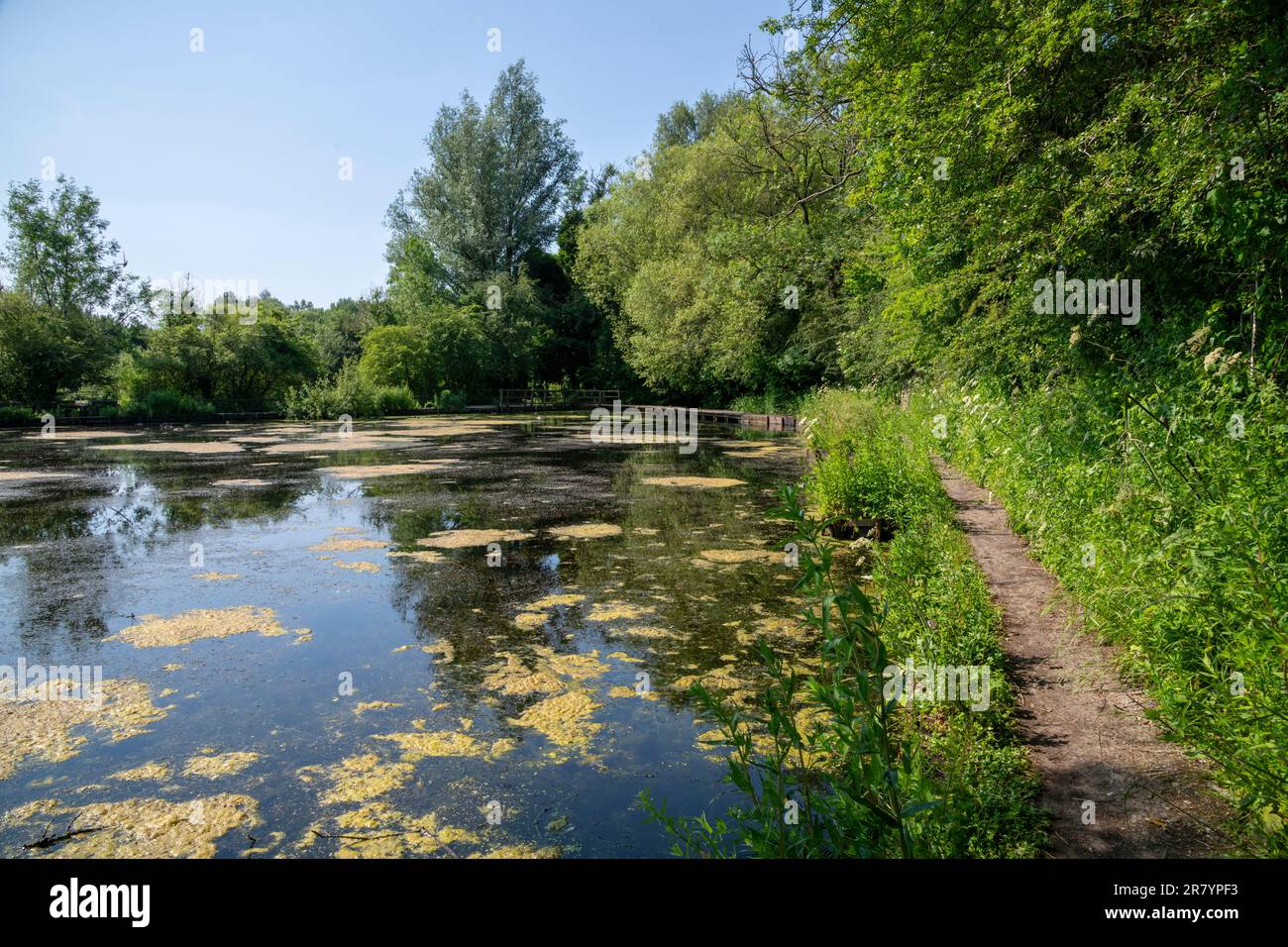 Reddish Vale country park, Stockport, Greater Manchester, England Stock ...