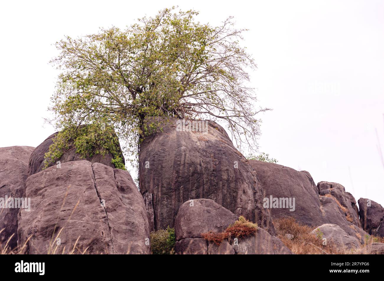 Adverse outdoor conditions hi-res stock photography and images - Alamy
