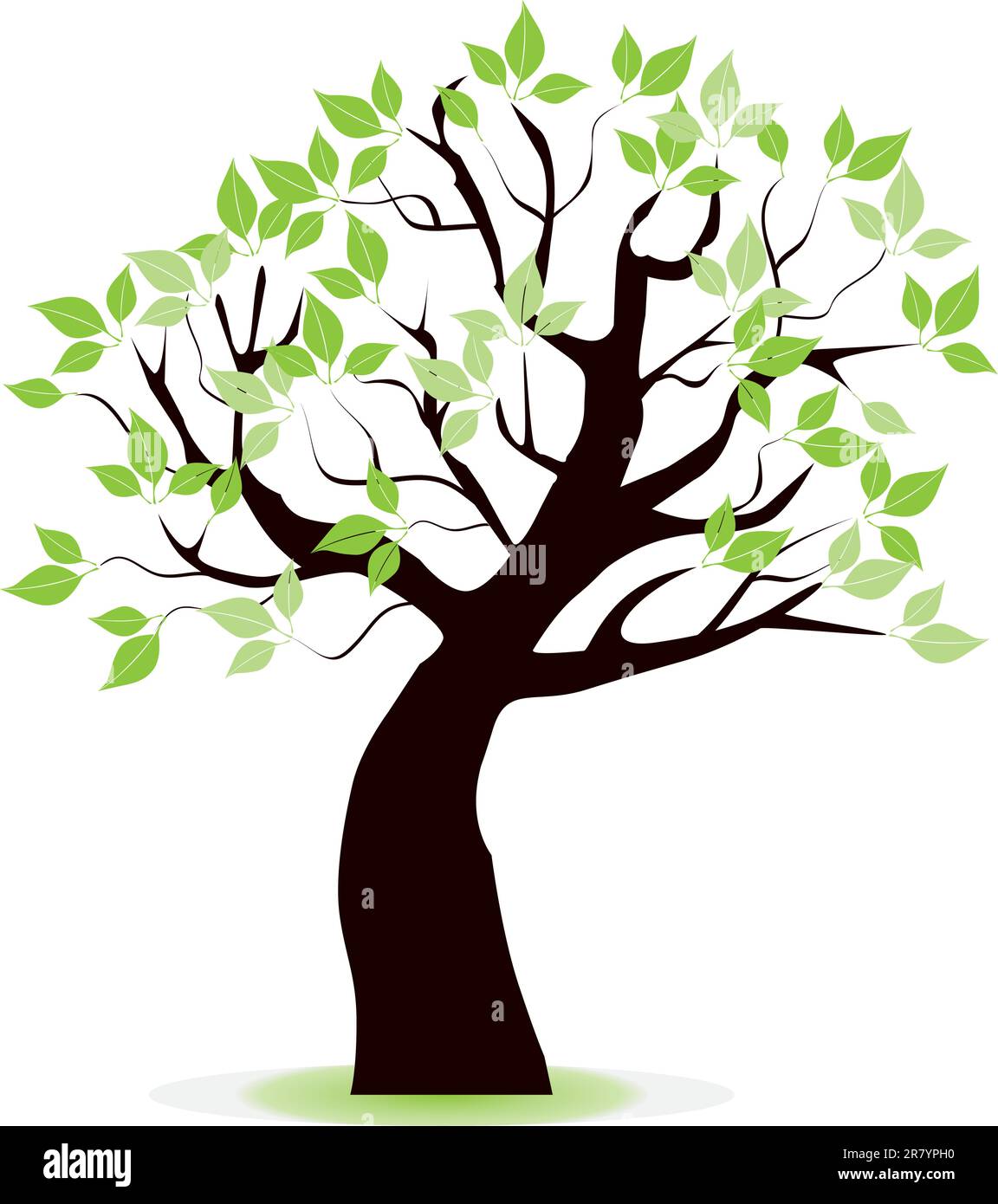 vector tree with leaves Stock Vector Image & Art - Alamy
