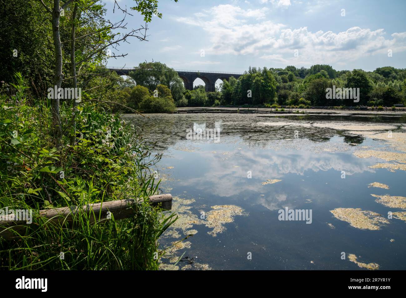 Reddish Vale country park, Stockport, Greater Manchester, England Stock ...