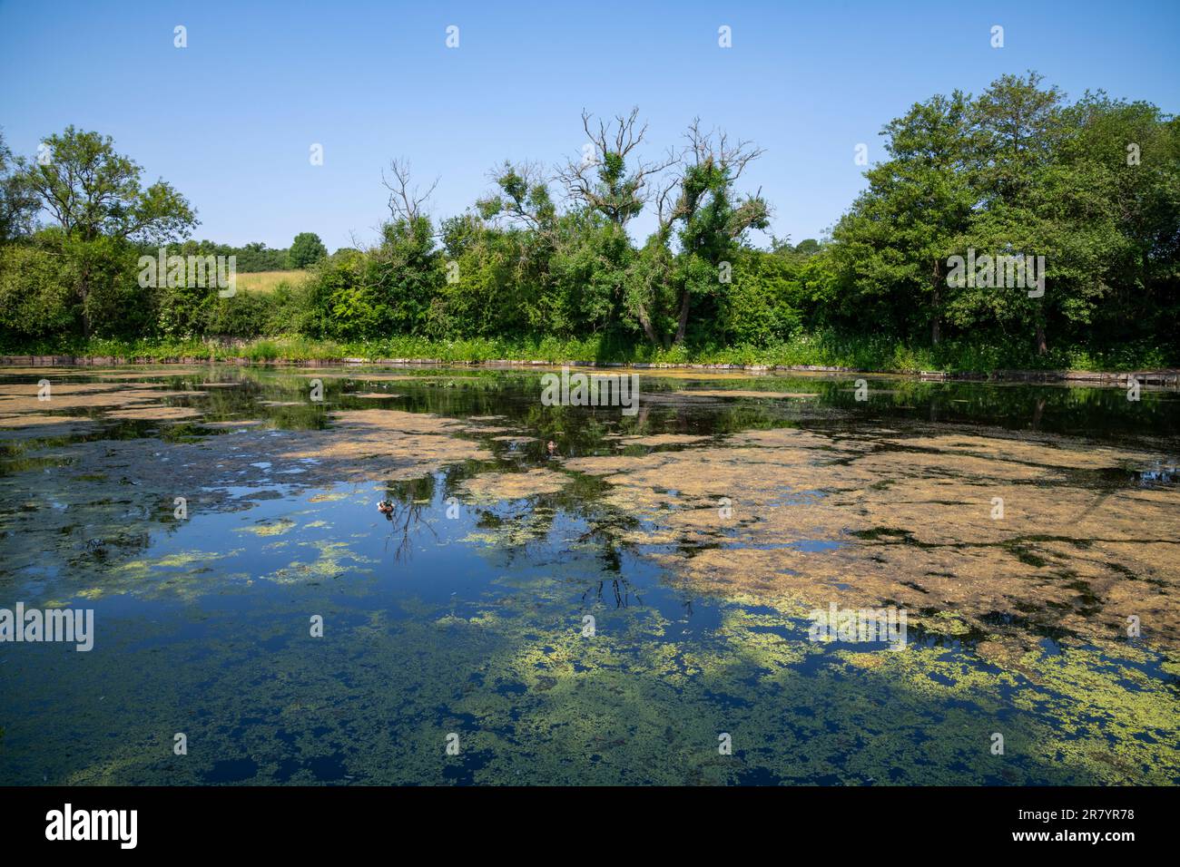 Reddish Vale country park, Stockport, Greater Manchester, England Stock ...