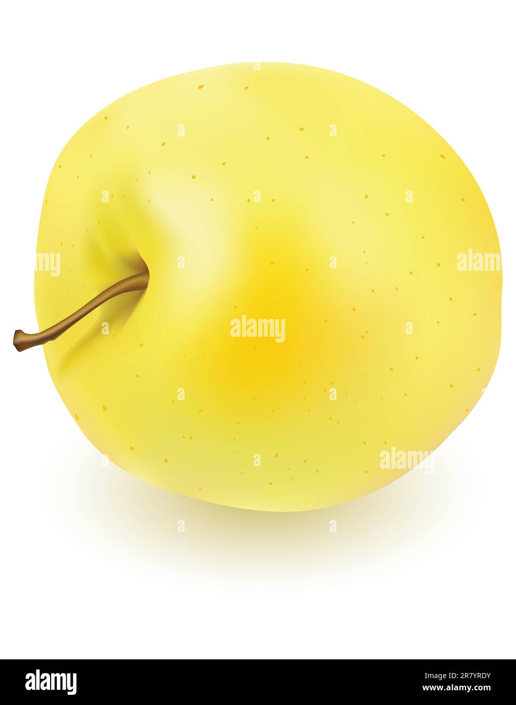 One fresh yellow apple on white background. EPS-10 vector illustration ...