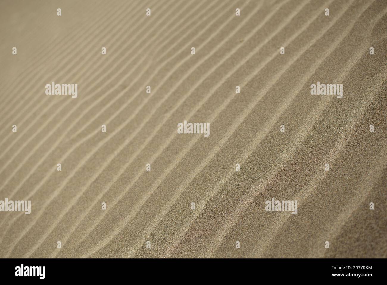 abstract image of line patterns in the sand along a Spanish beach ...