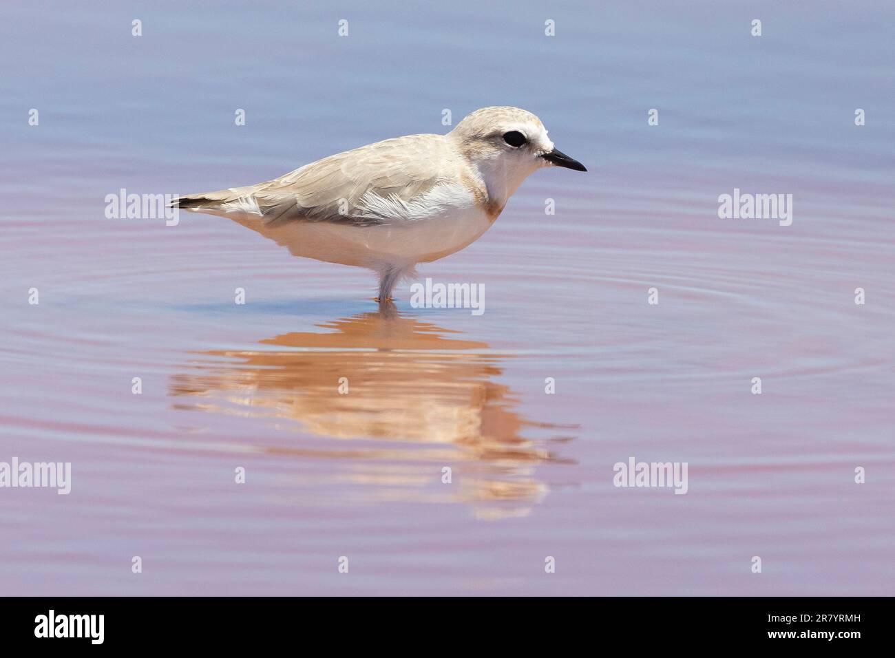 Kliphoek salt pans hi-res stock photography and images - Alamy