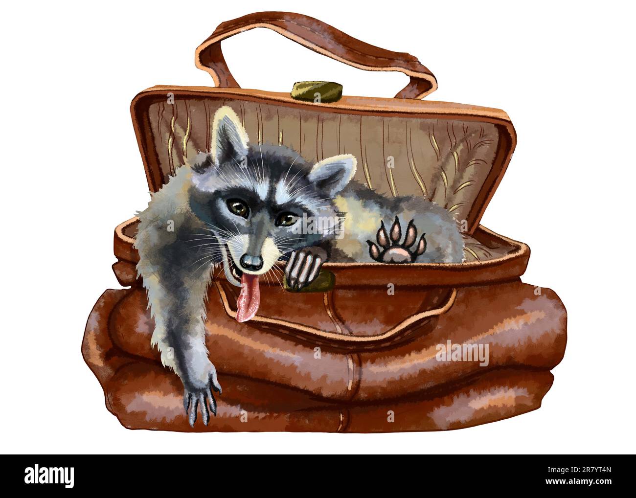 Color illustration of a funny raccoon sitting in a bag. From the ...