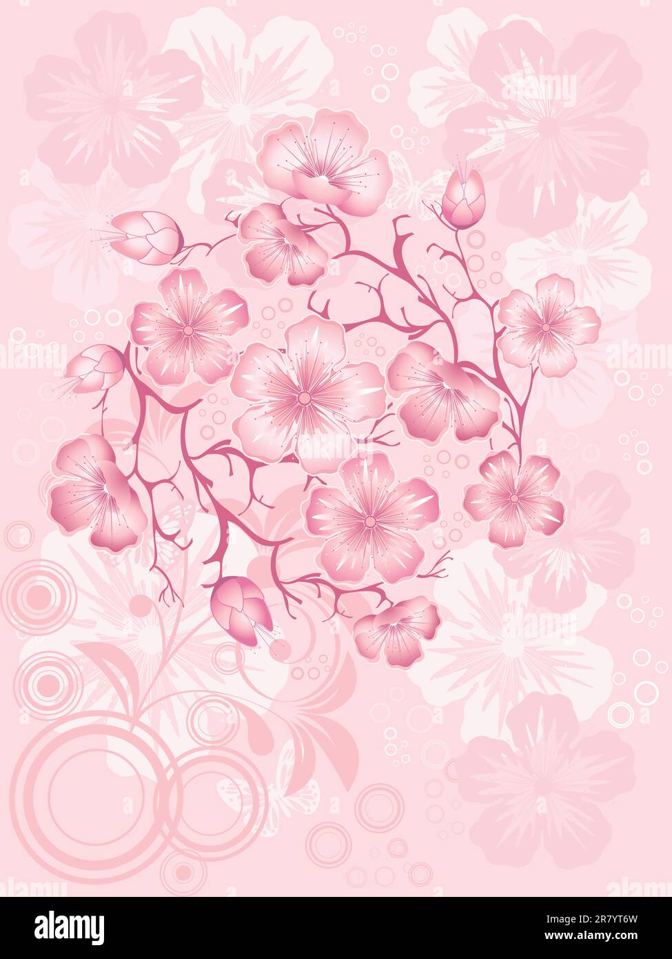 sakura blossom, vector illustration Stock Vector Image & Art - Alamy