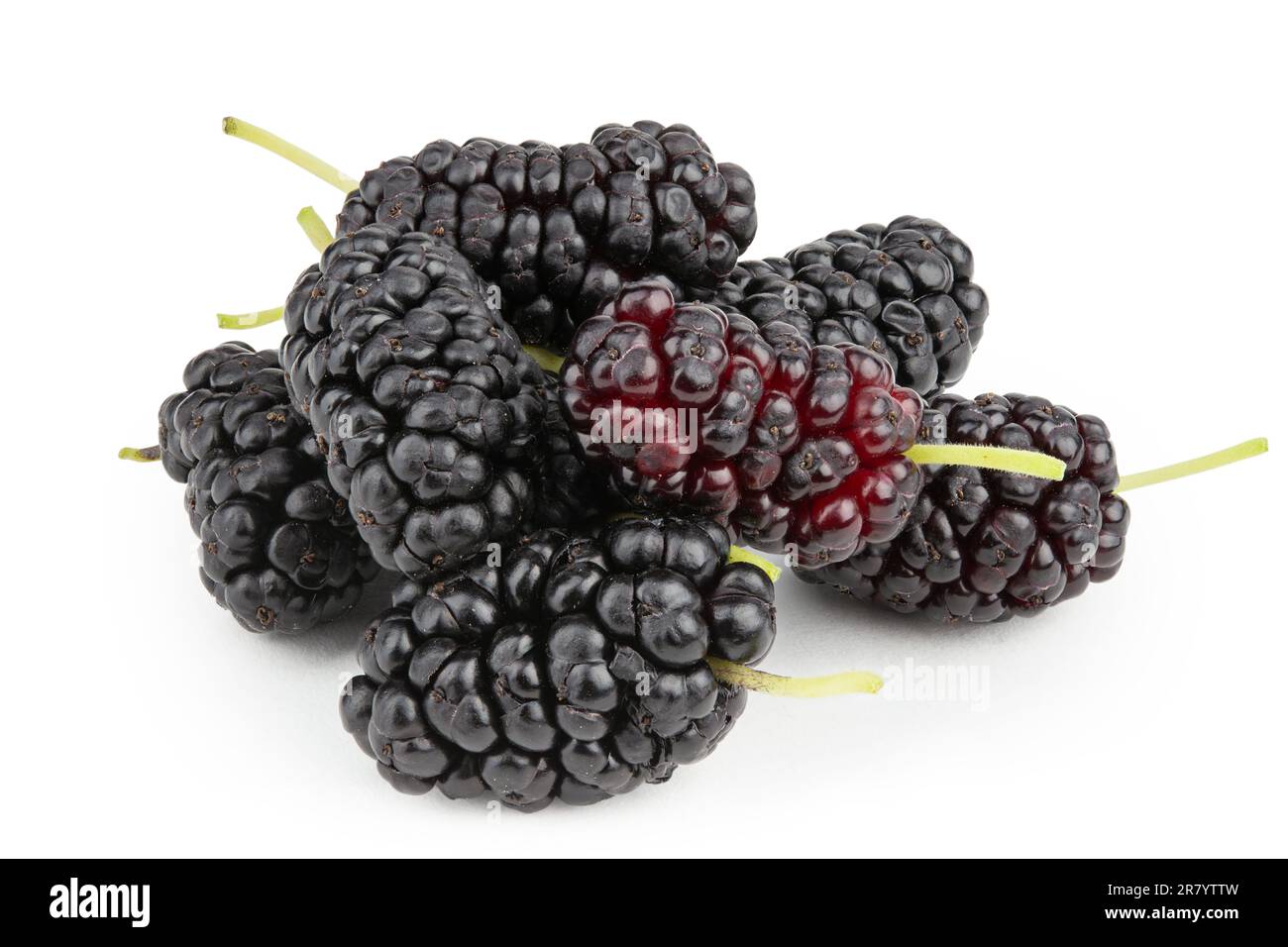 Mulberry berry heap isolated on white background. File contains ...