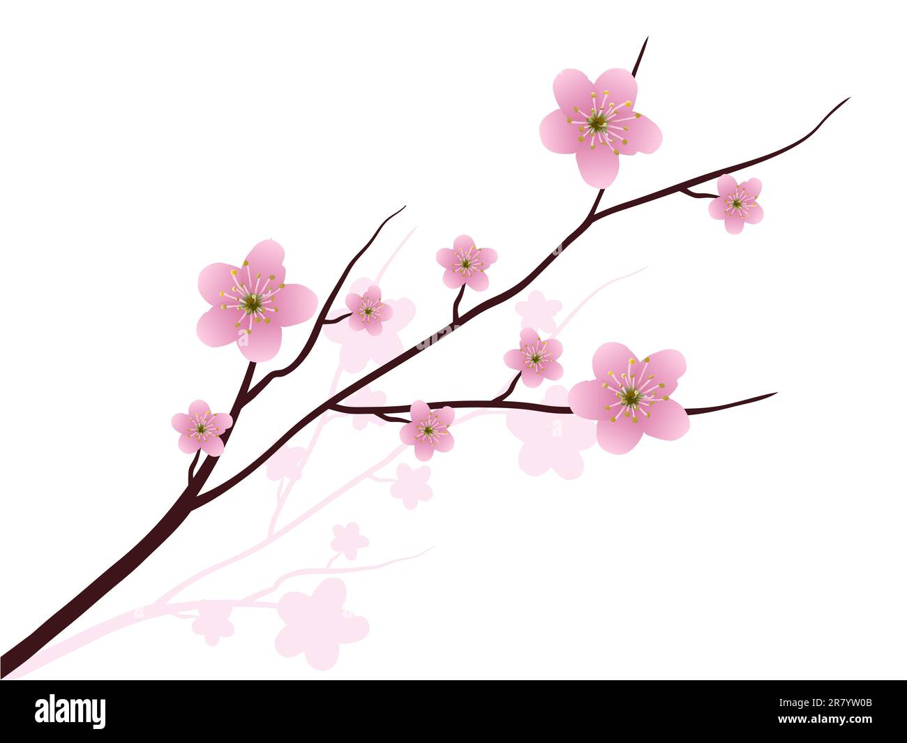 Beautiful pink tree blossoms Stock Vector Images - Alamy