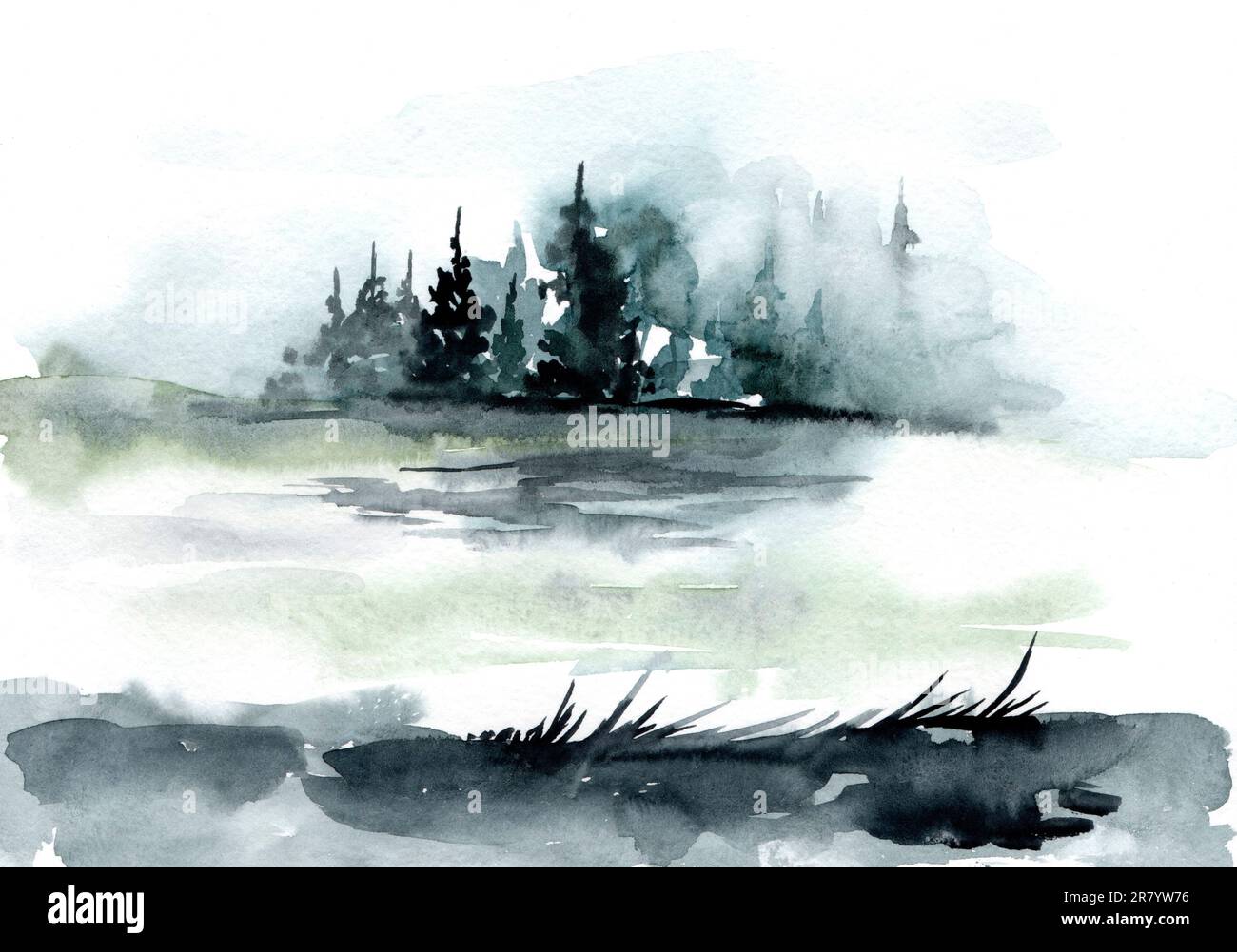 Foggy landscape, firs, river. Hand drawn watercolor illustration ...