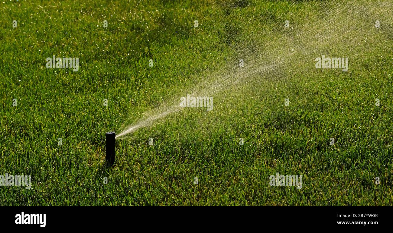 Automatic garden irrigation system watering lawn with adjustable head ...