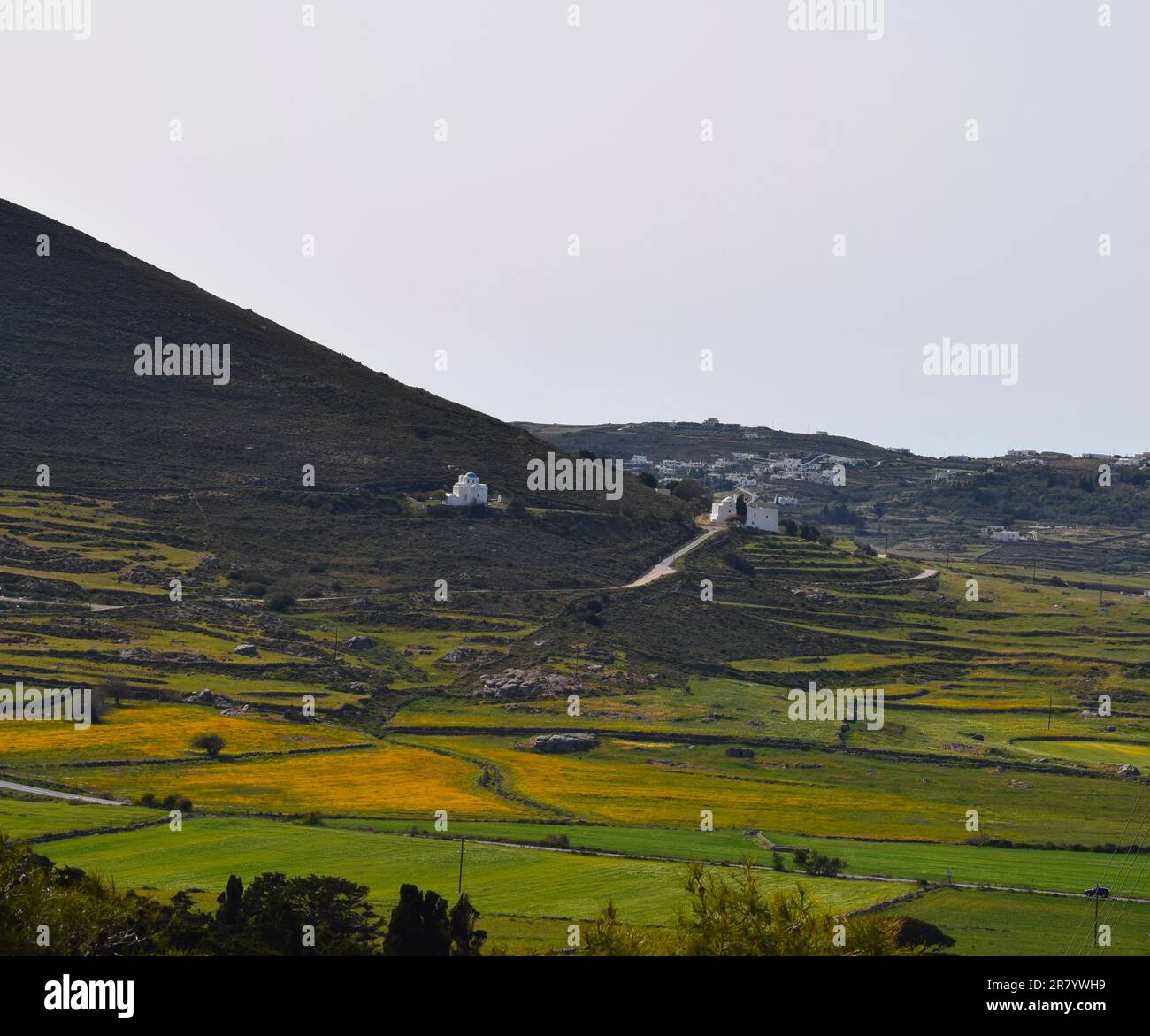 Foothill bloom hi-res stock photography and images - Alamy