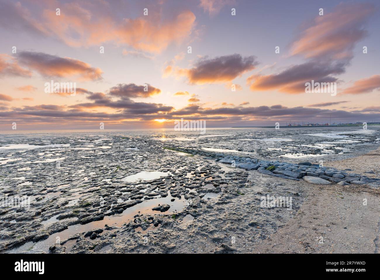 Beautiful sunset landscape of the Wadden sea UNESCO Worl heritage site ...