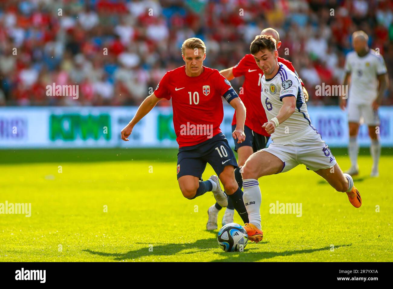 Scotland euro 2024 tierney hi-res stock photography and images - Alamy