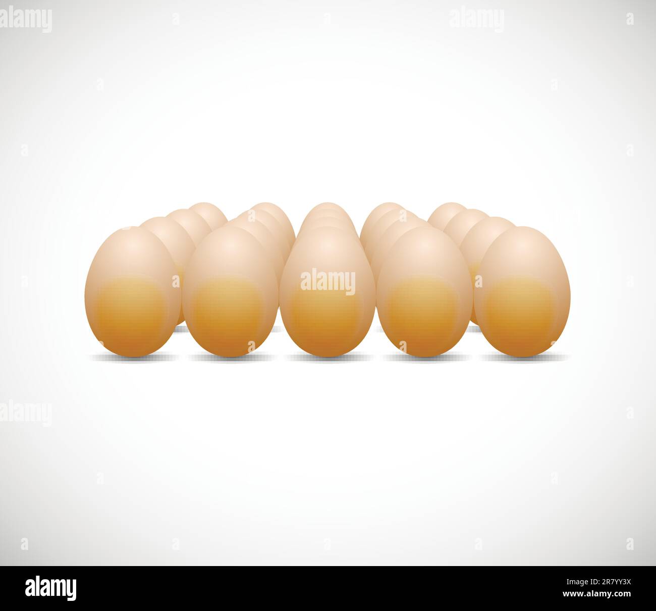 Grocery Egg Stock Vector Images Alamy