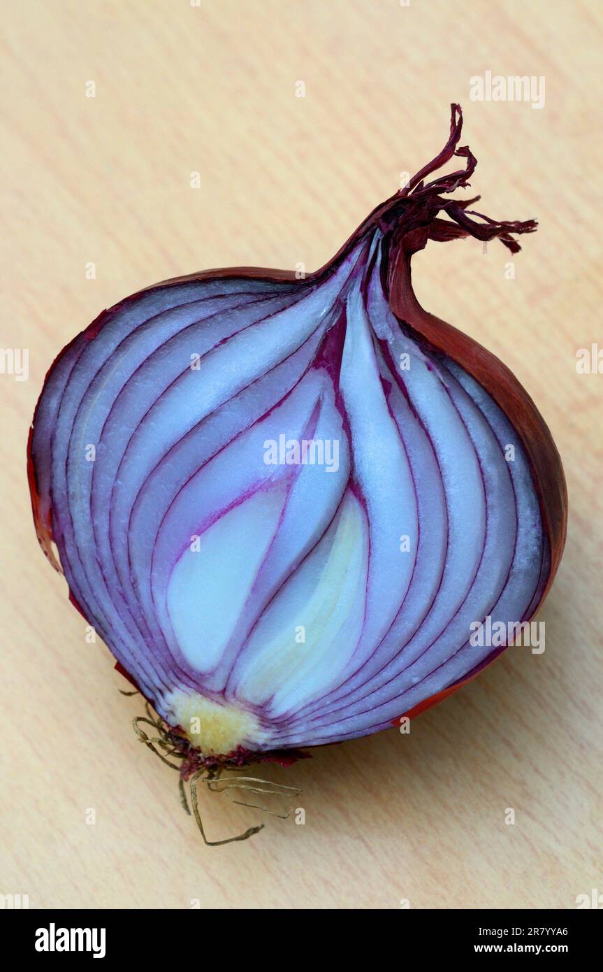 Onion texture hi-res stock photography and images - Alamy