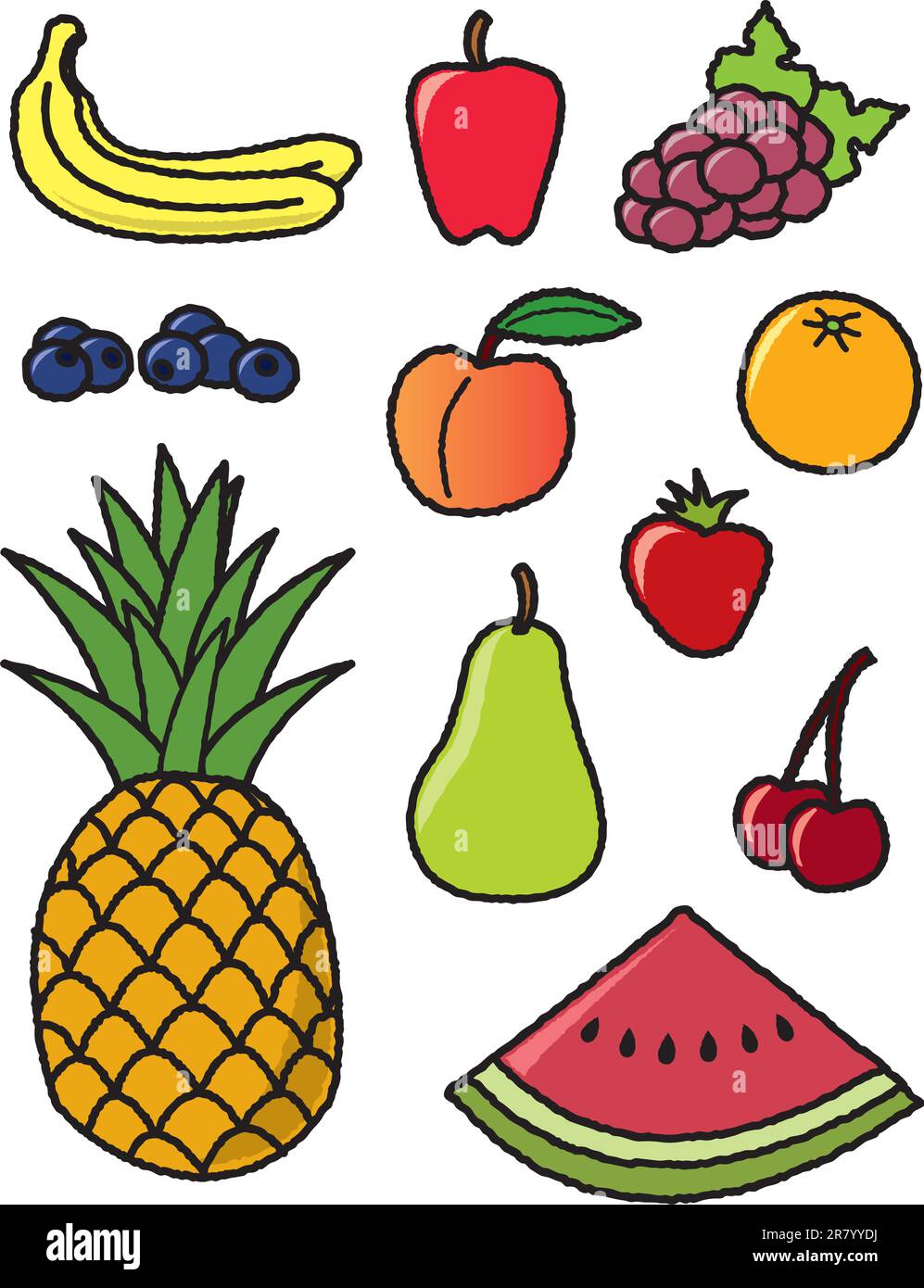 Common berry Stock Vector Images - Alamy