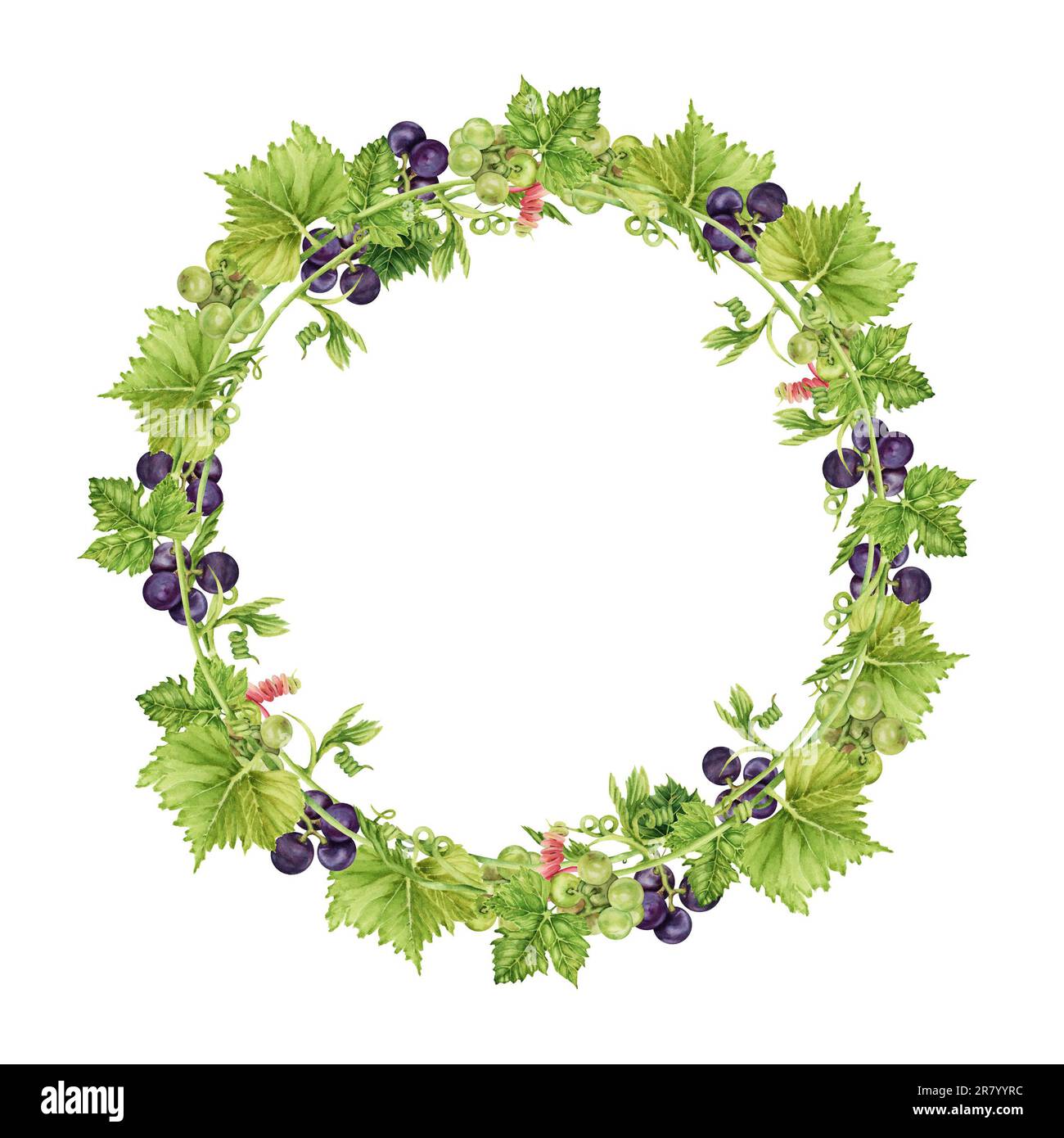 Watercolor round frame hi-res stock photography and images - Alamy