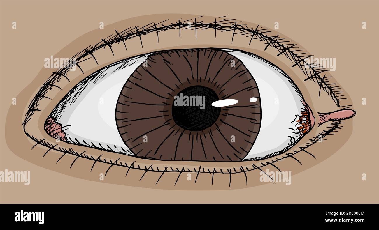 Close up view of human eye with skin tag in corner Stock Vector Image ...