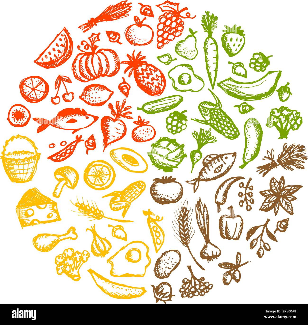 Drawing Of Body Building Food at Evelyn Council blog