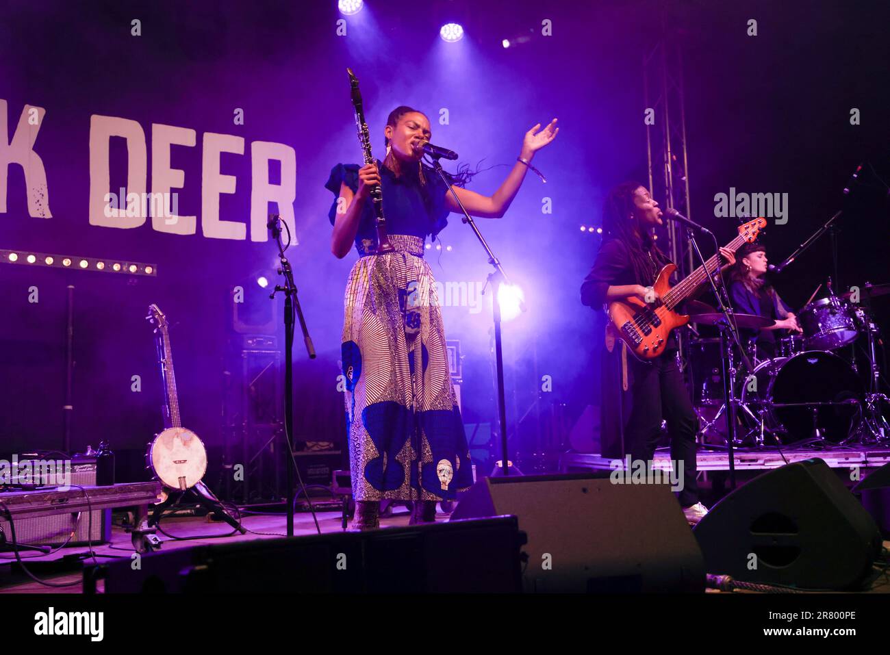 Allison russell grammy nominated hi-res stock photography and images ...