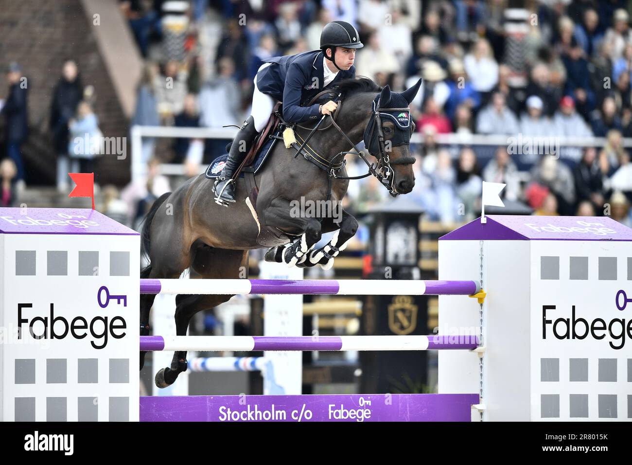 Jack Whitaker, Great Britain with the horse Equine America Q Paravatti ...