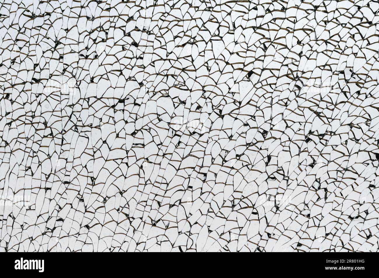 Macro closeup of a broken glass window. Cracks run throughout the glass ...