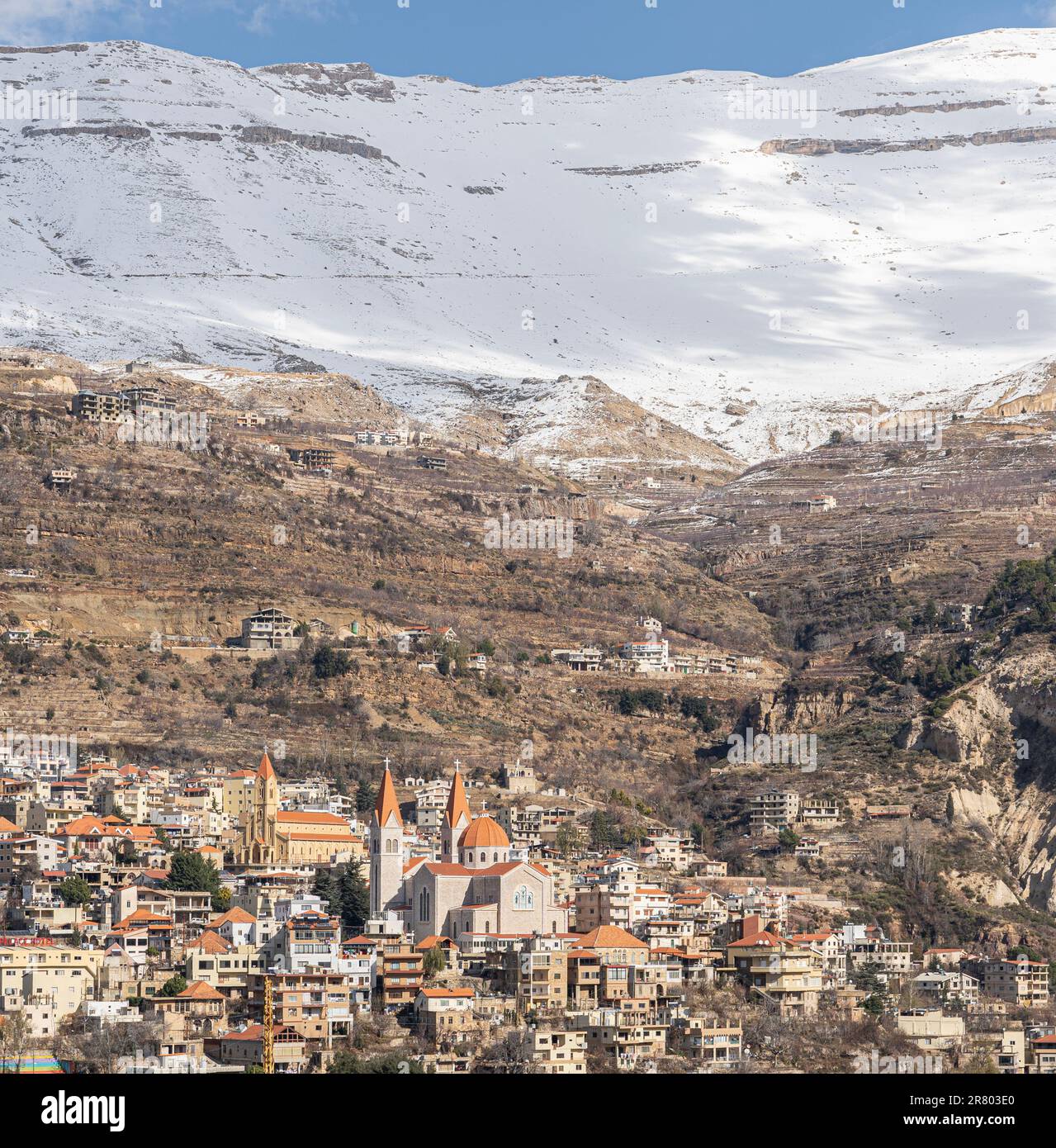 Cedars on mount lebanon hi-res stock photography and images - Alamy