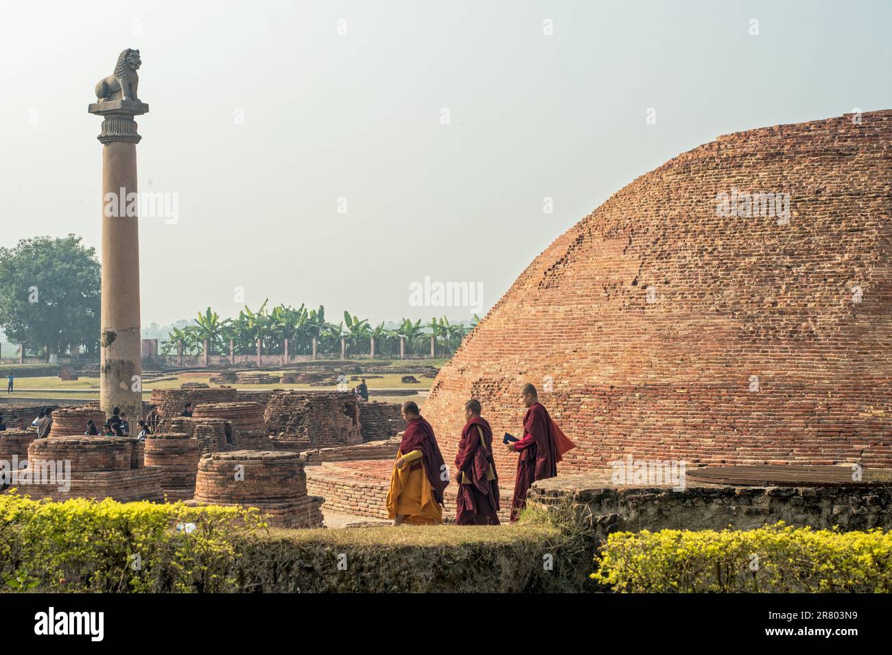 Pillar Capital At Vaishali