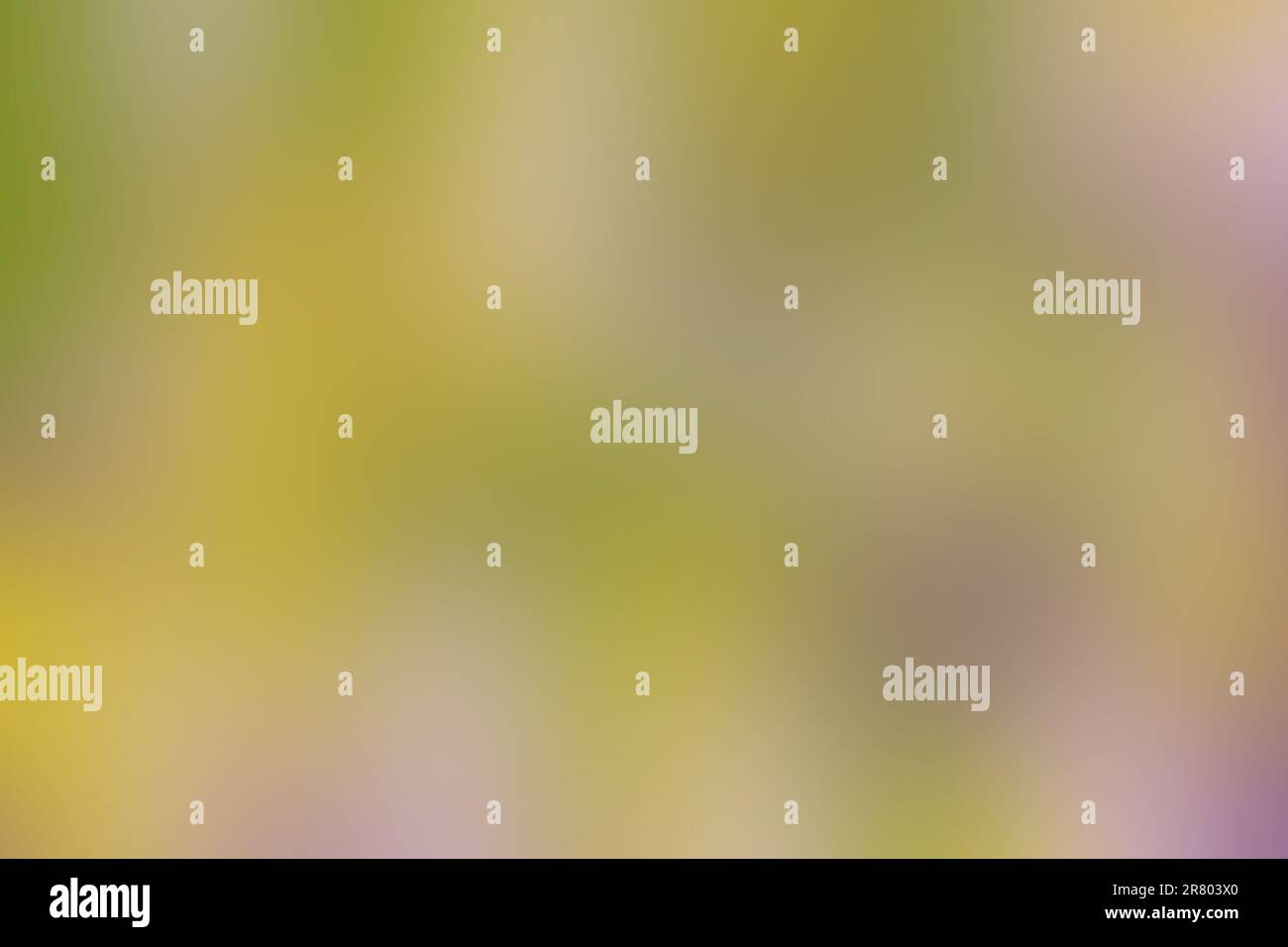 Modern abstract blur backgrounds banner Stock Photo - Alamy