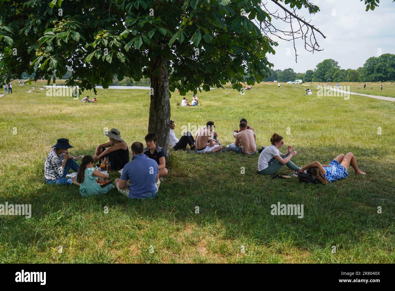 London UK. 18 June 2023 . People shelter in the shade under a tree on a ...