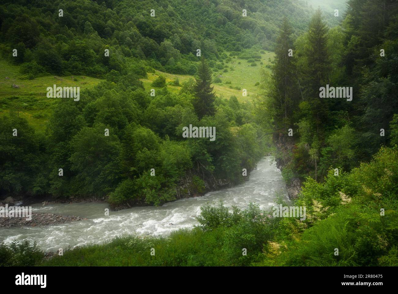 River Flowing Between beautiful Forest Trees. Beautiful scene of misty ...
