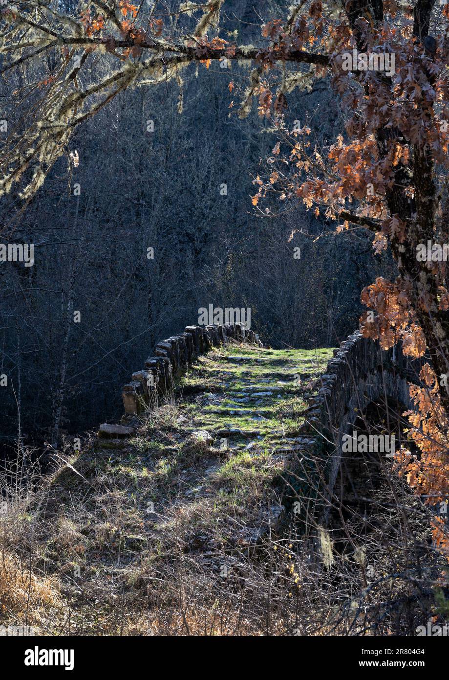 Mirisi hi-res stock photography and images - Alamy