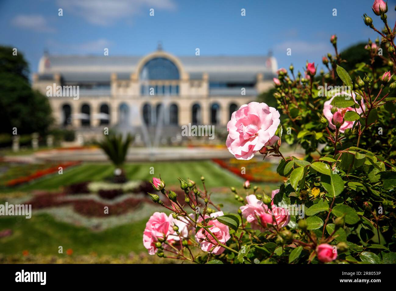 roses in front of the main building of the Flora (Palais im Park) in ...