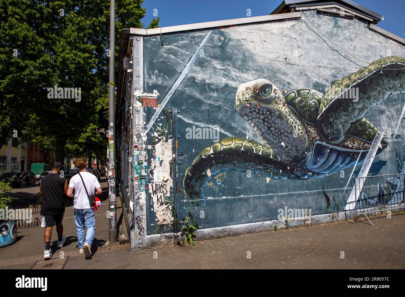 Graffiti turtle hi-res stock photography and images - Alamy