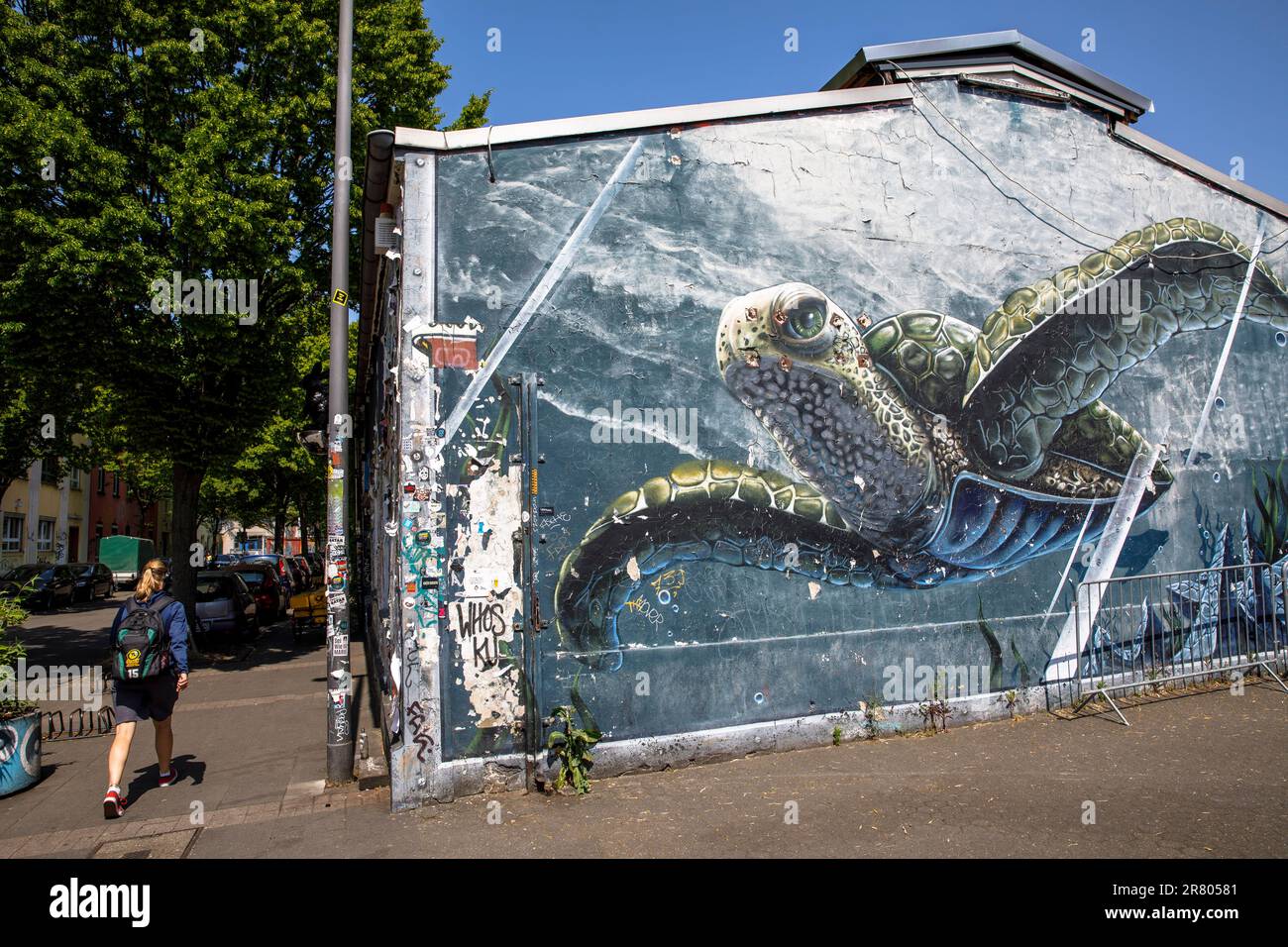Graffiti turtle hi-res stock photography and images - Alamy