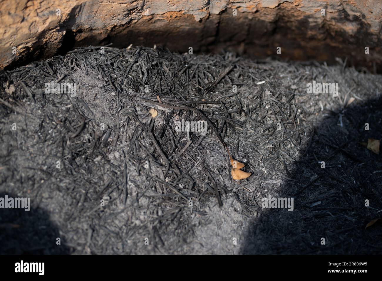 A natural background texture of ash in a fireplace Stock Photo - Alamy