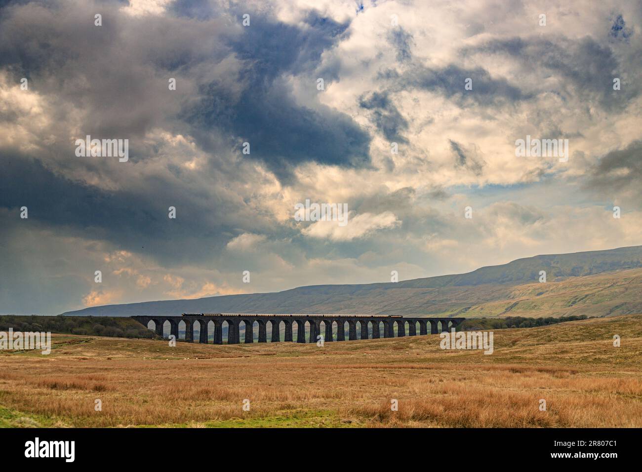 Diesel train on the Ribble Valley viaduct, Lancashire, England Stock ...