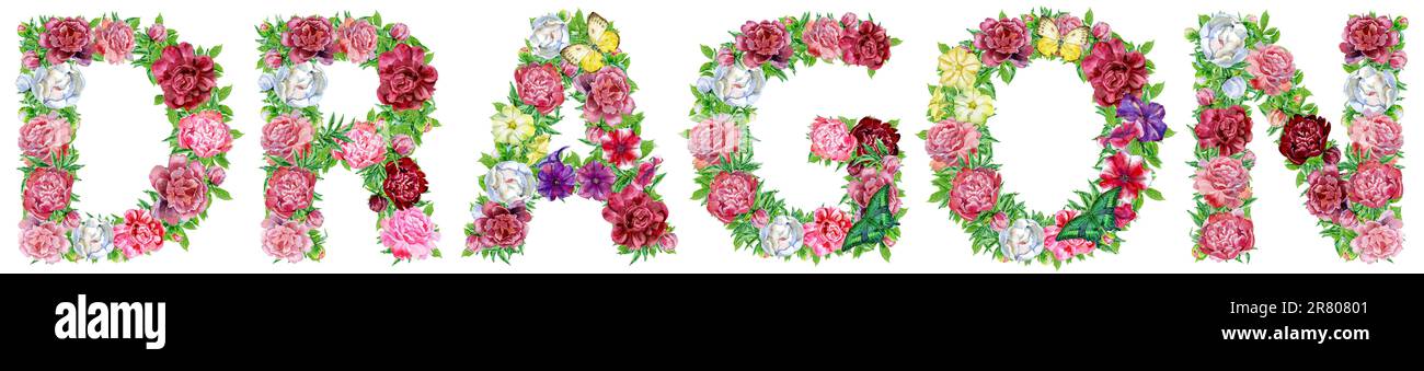 Word DRAGON of watercolor flowers, isolated hand drawn on a white ...