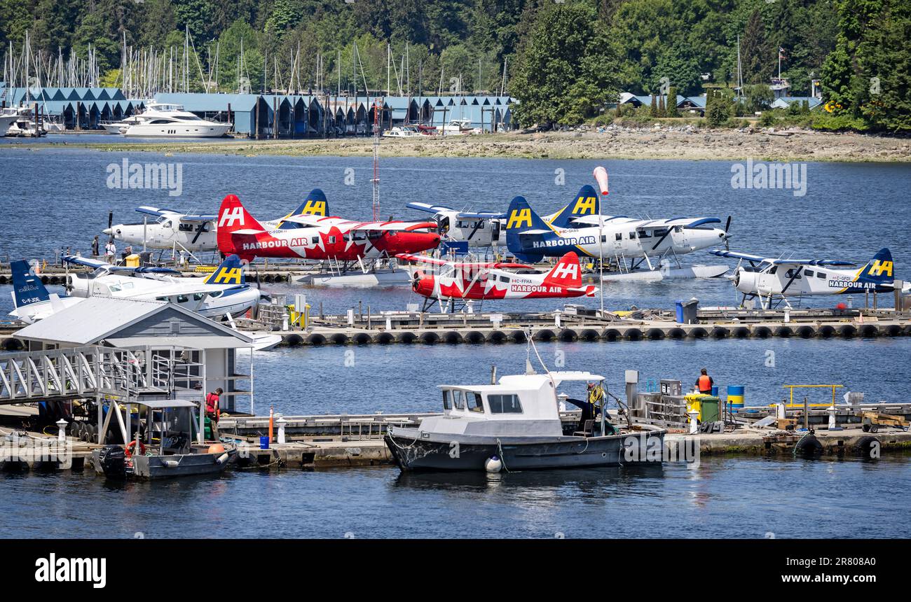 Group of Harbour Air seaplanes moored at the floating terminal in ...
