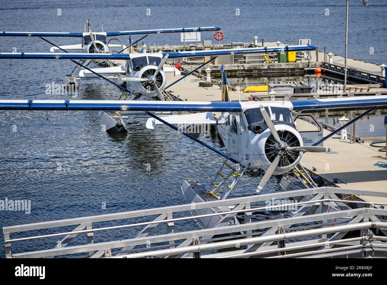 Close up of three Harbour Air seaplanes moored at floating terminal in ...