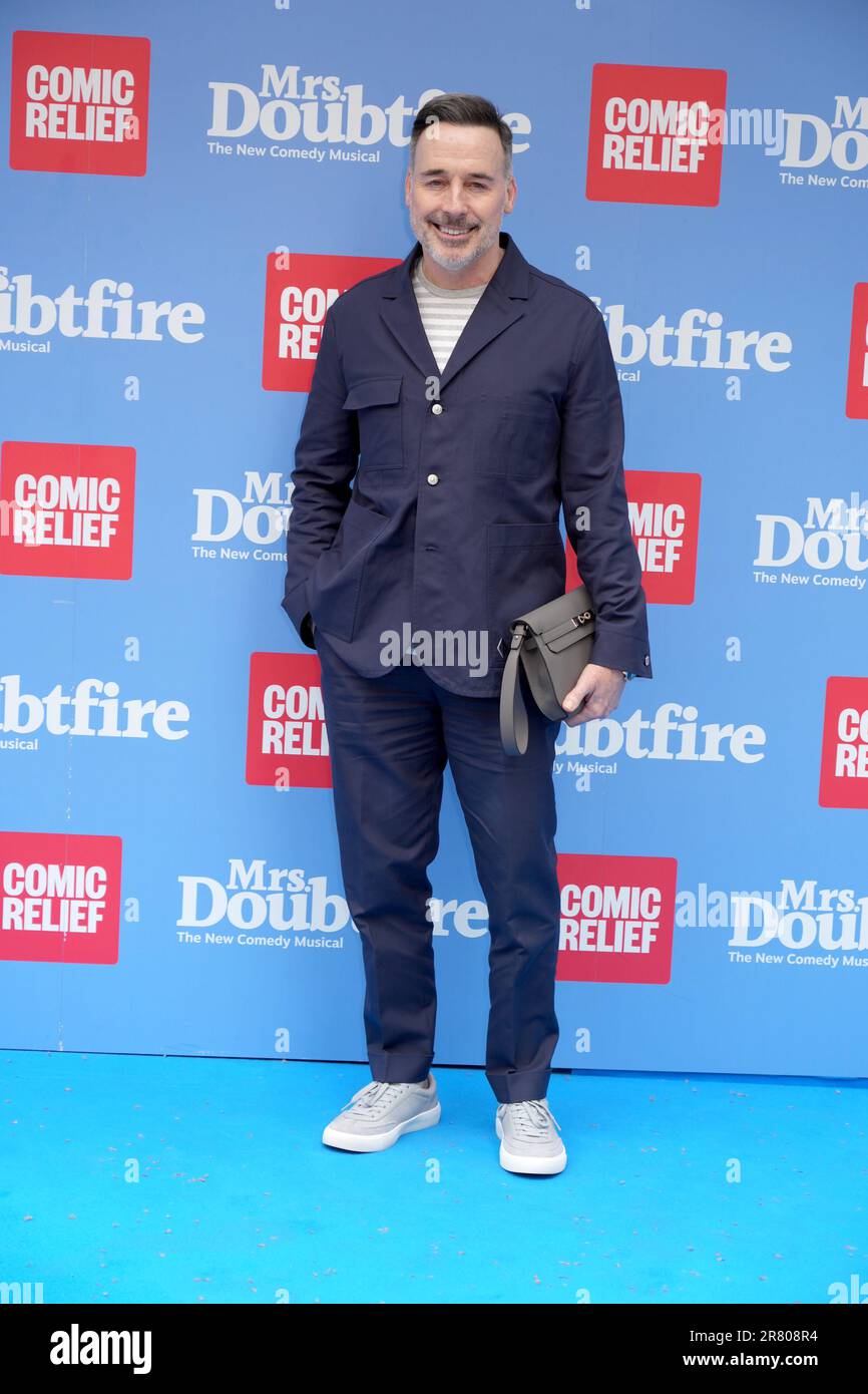 David Furnish attends the Mrs Doubtfire Comic Relief Gala, at the ...
