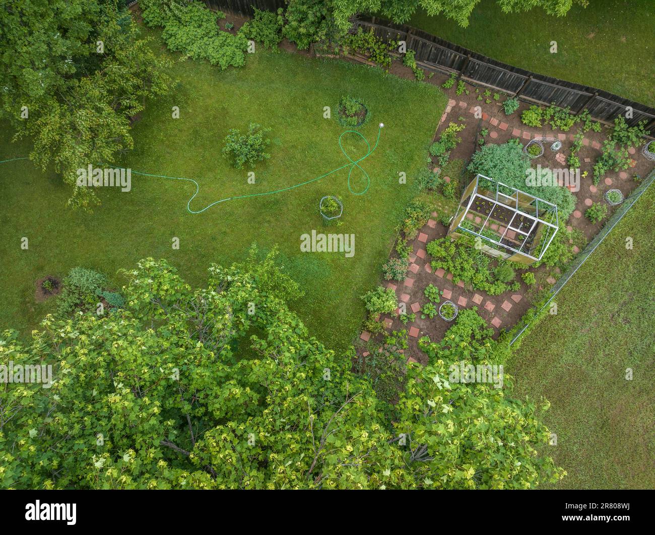 aerial view of a green backyard and garden in springtime scenery Stock ...