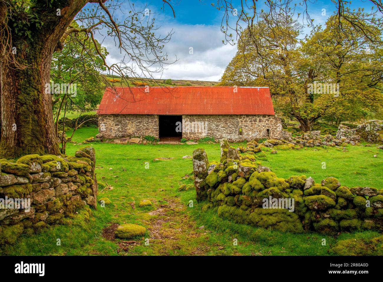 The old picturesque barn at Emsworthy Mire, Dartmoor National Park ...