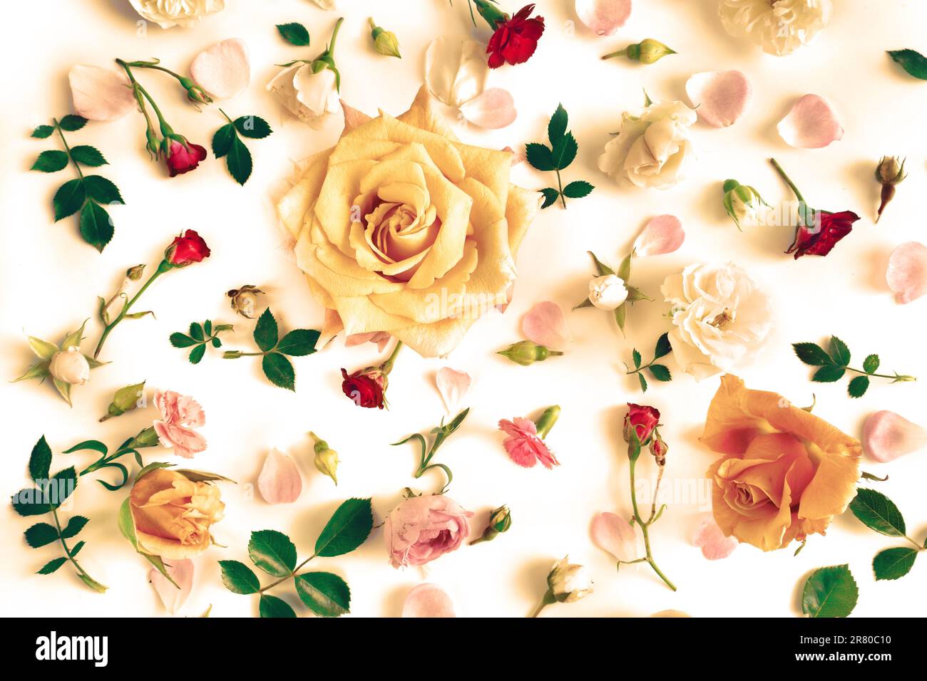 Vintage roses wallpaper hi-res stock photography and images - Alamy