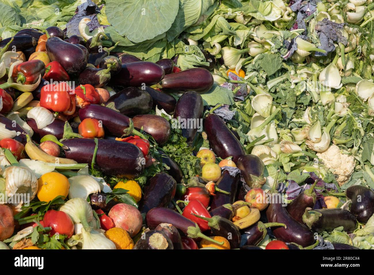 Expired Organic bio waste. Mix Vegetables and fruits in a huge ...