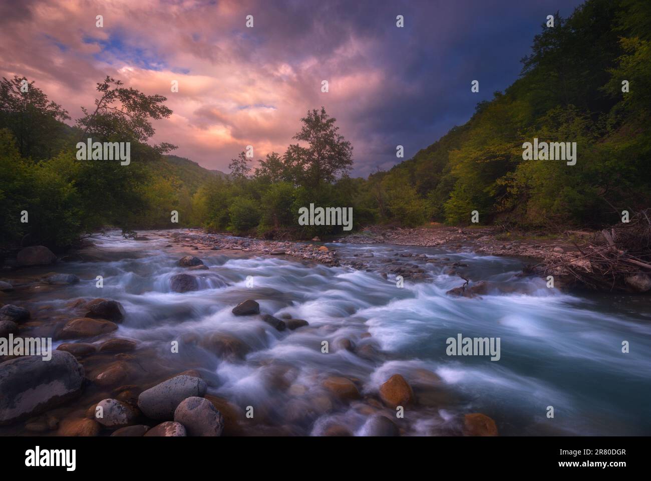 River Water Flow Between beautiful Forest Trees Stock Photo - Alamy